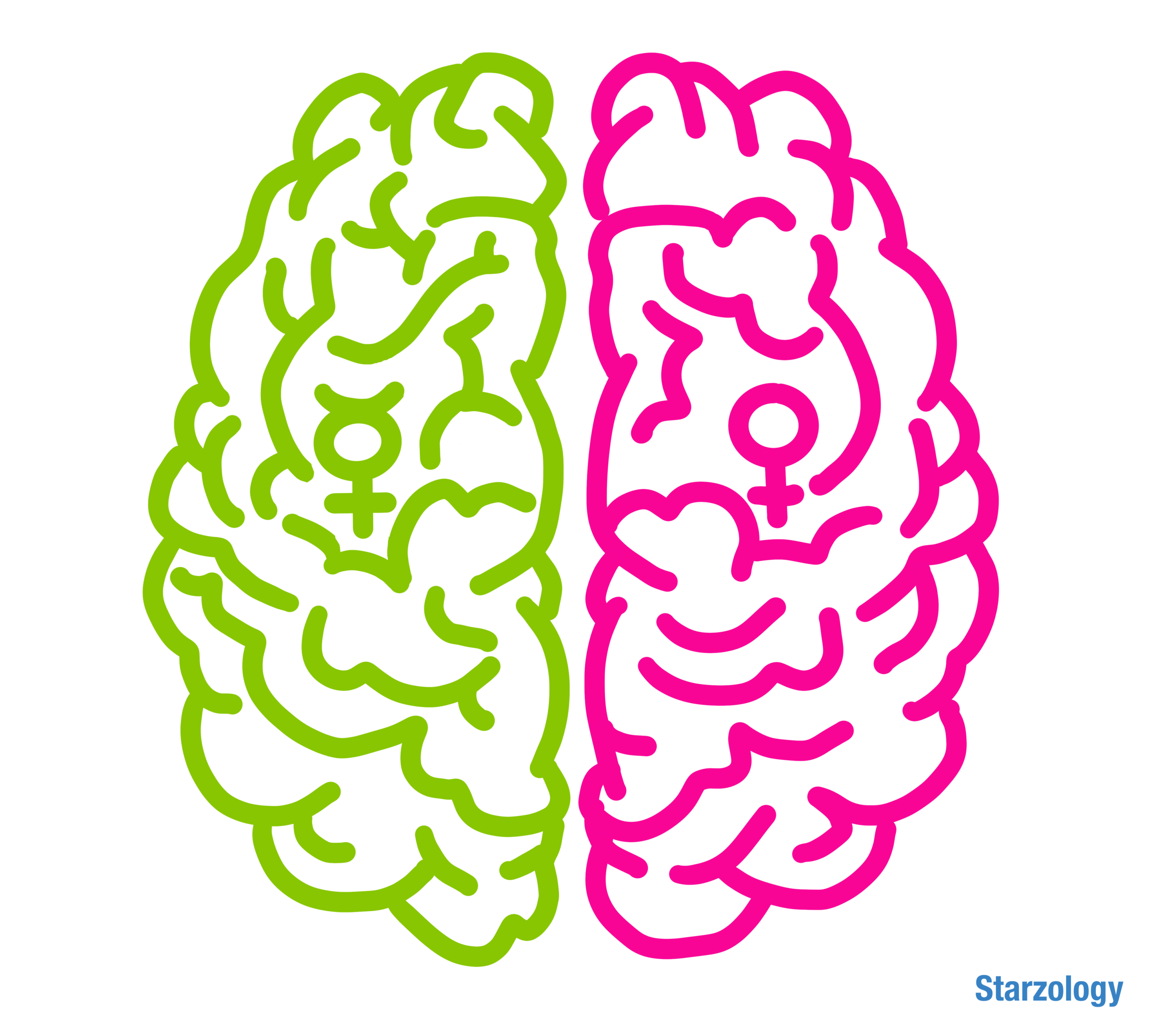 Mercury and Venus: Left Brain Right Brain - Starzology